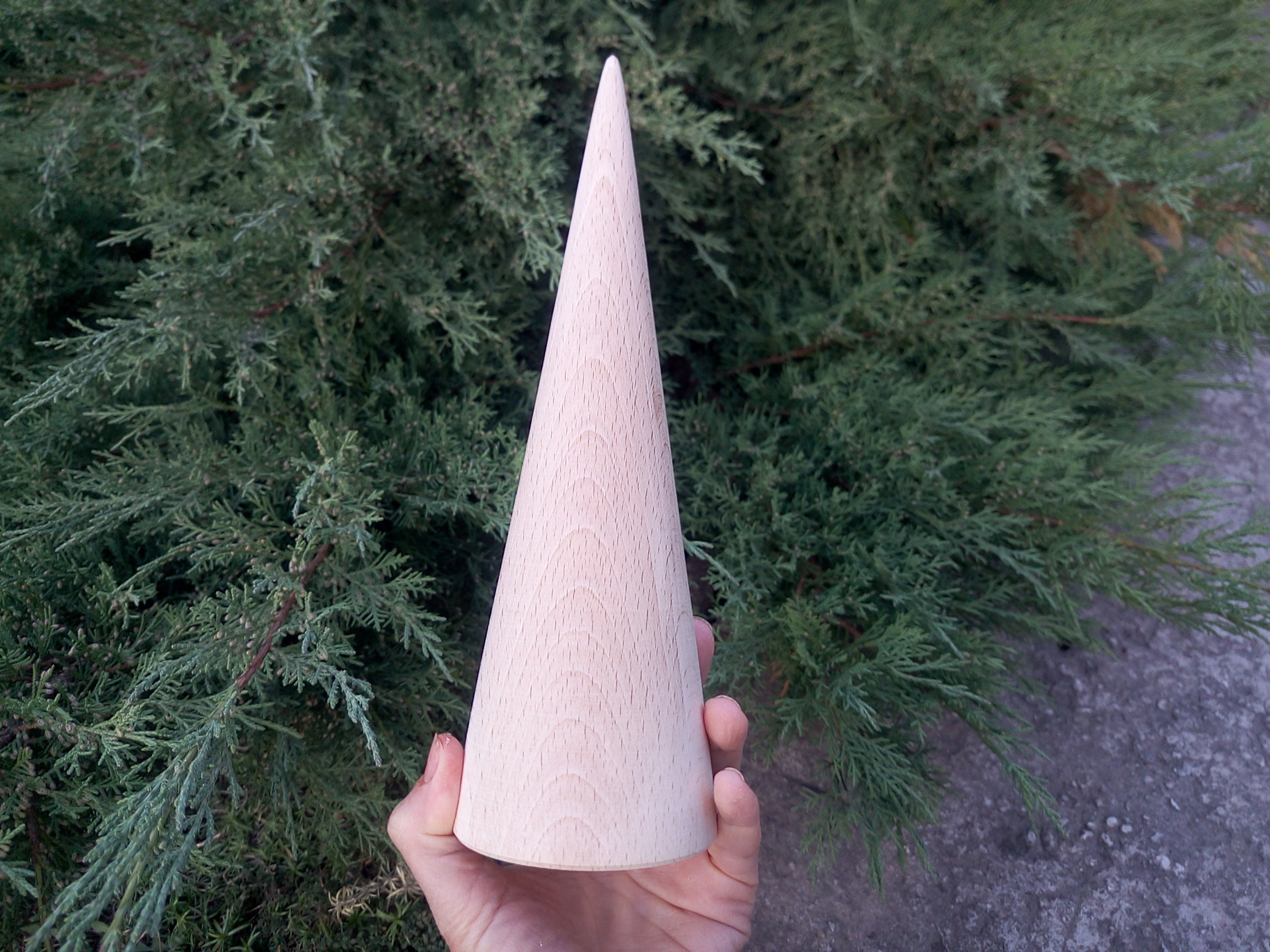 Large Wooden Cone 9 Inch Natural Eco Friendly Wooden Contemporary ...