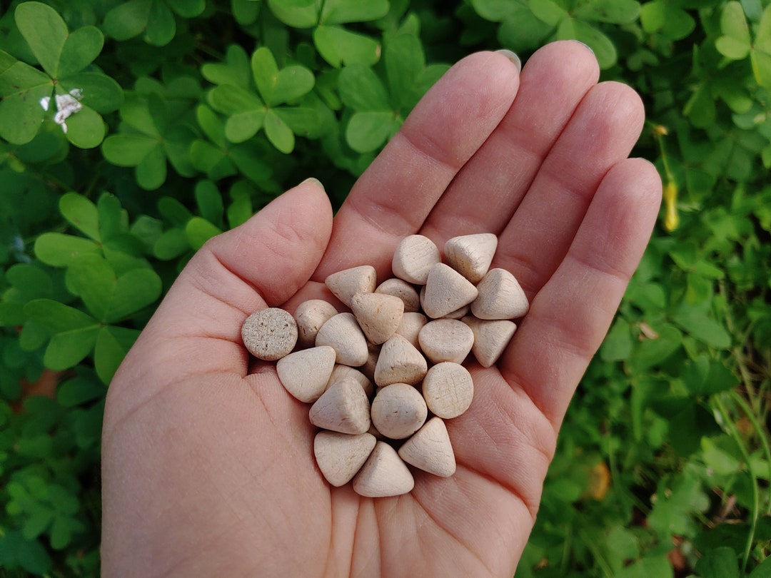 Wooden Cone Set of 25 Pcs, 10 X 10 Mm Small Wood Cones Natural Eco ...