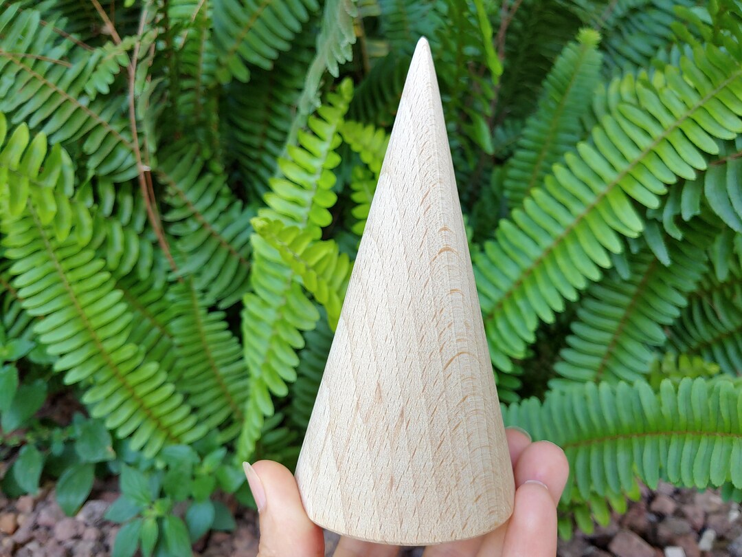 Wooden Cone Big Wood Cones Natural Eco Friendly Wooden Contemporary ...