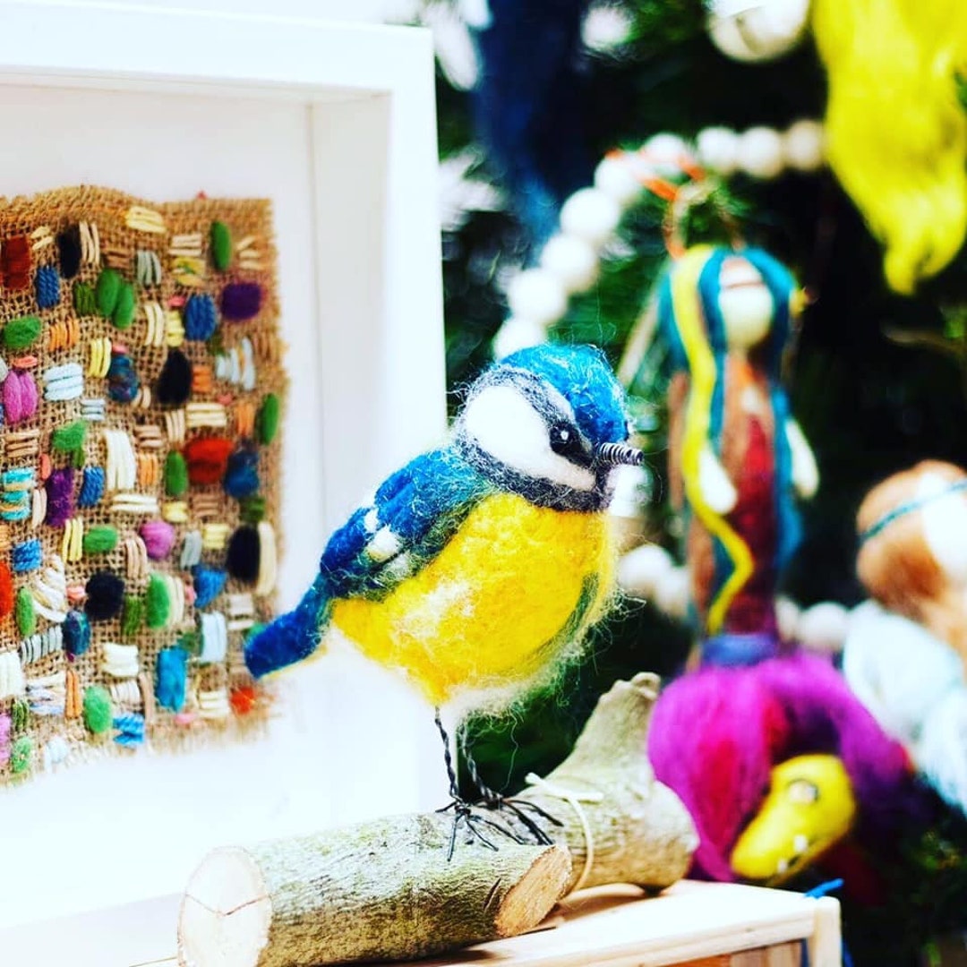 Blue Tit Needle Felting Kit ( Starter Kit ) - Etsy