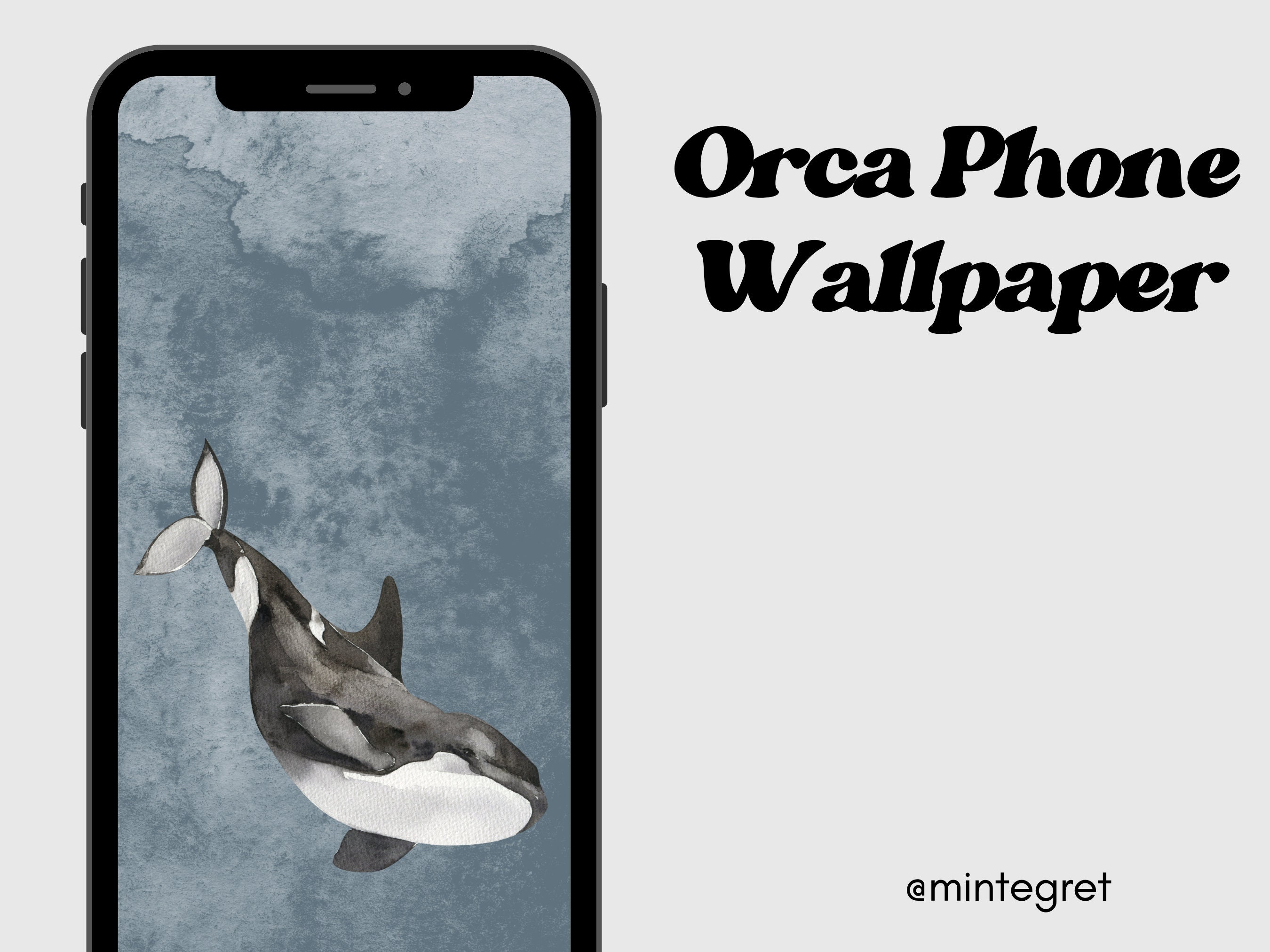 Orca Pod Wallpaper