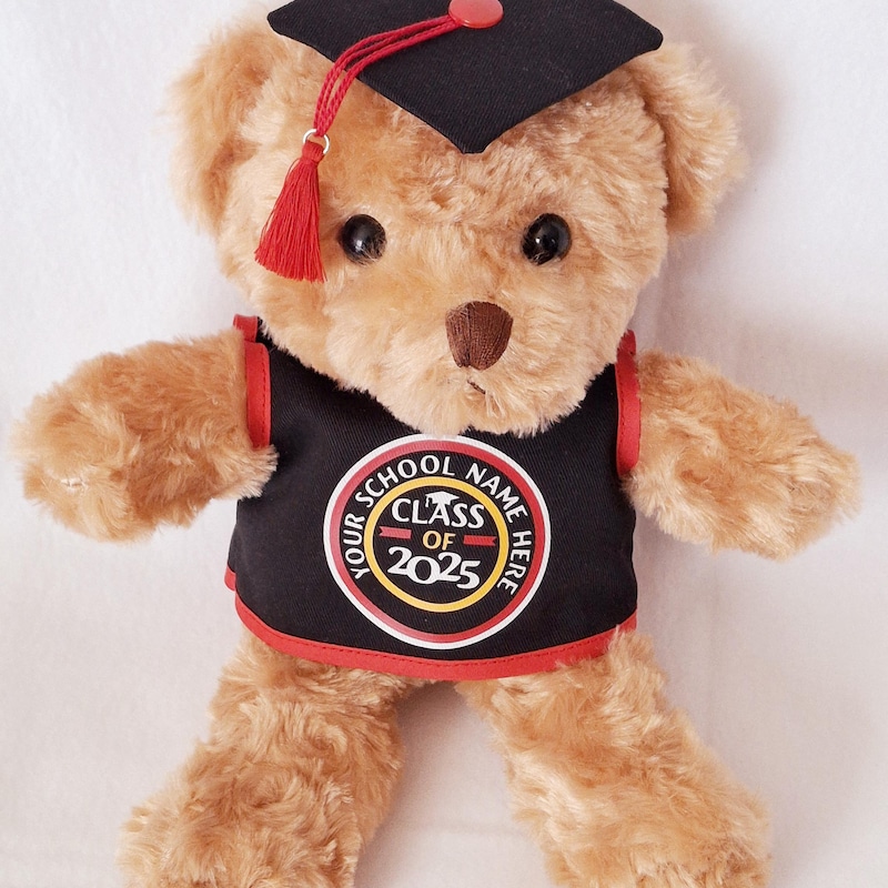 Graduation Plush Bear - Etsy