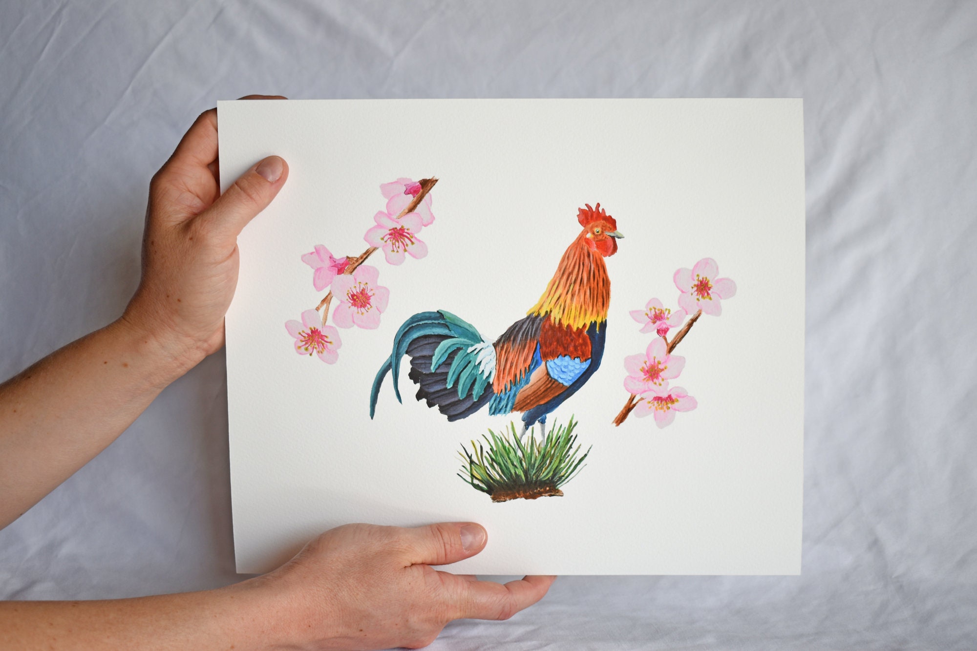 Bird Art Print, Chicken Art, Flower Art, Delaware State Bird, Blue Hen ...