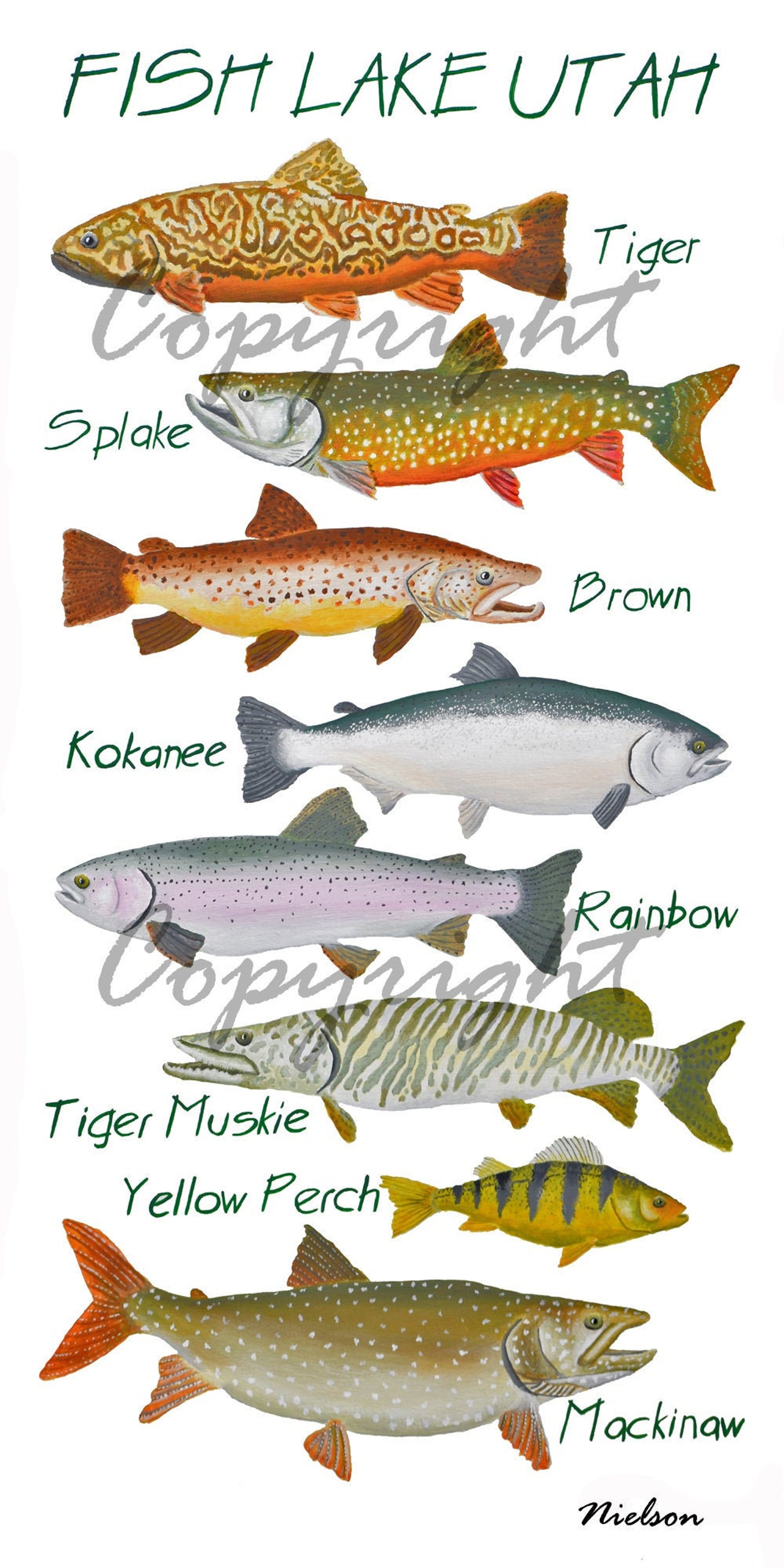 Trout Poster Print, Fish Lake Poster Art, Fishing Art Print, Fishing ...
