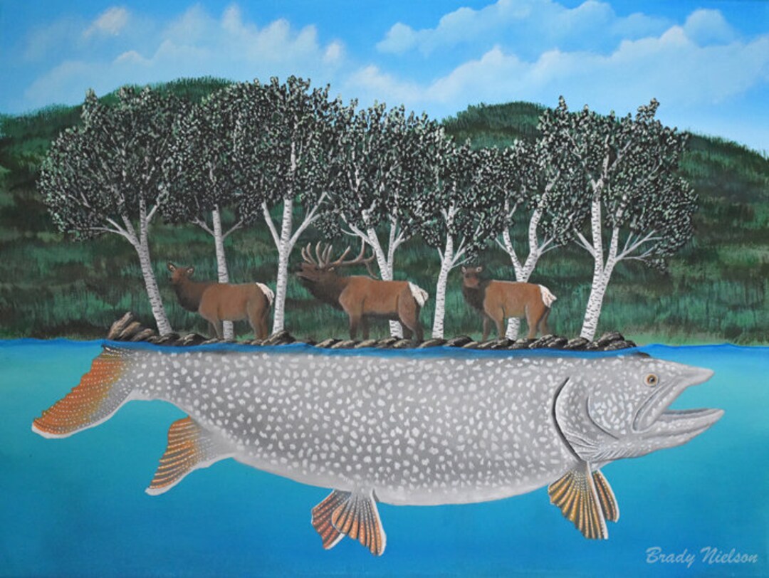 Fish Art, Lake Trout Print, Fish Art Print, Elk Art Print, Fish Lake ...
