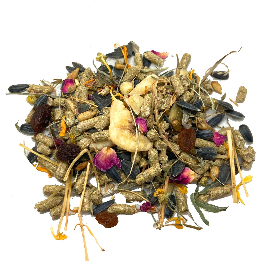 Bunluv Raisins N Seeds Treat for Rabbits Guinea Pigs - Etsy