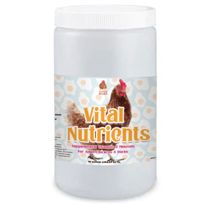 Vital Nutrients: Supplemental Essential Vitamins and Trace Minerals for ...