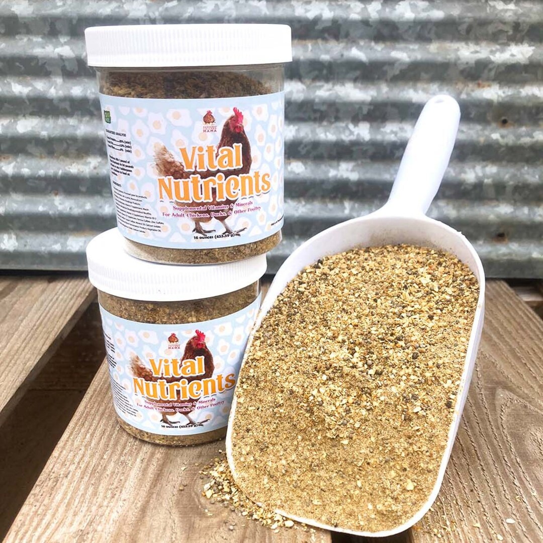 Vital Nutrients: Supplemental Essential Vitamins and Trace Minerals for ...