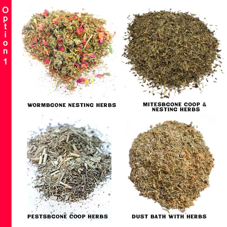 Ultimate Parasite Bundle Everything for a Healthy Coop for - Etsy