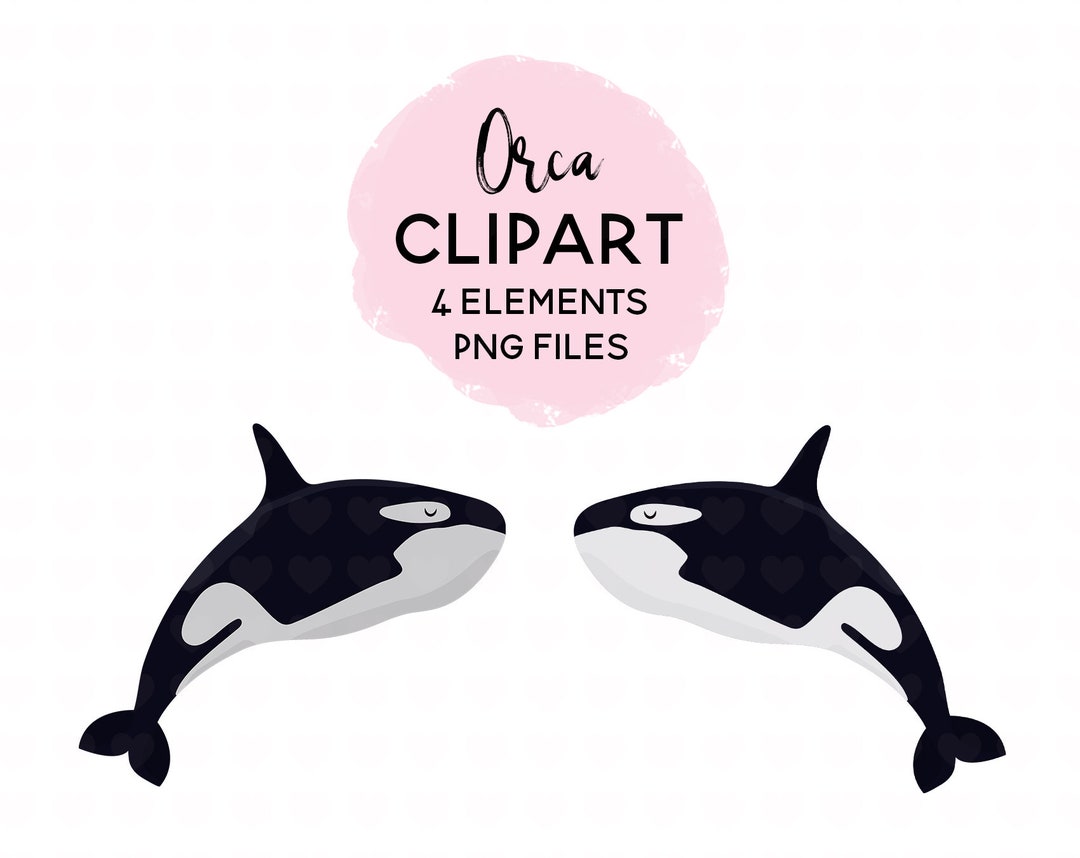 Orca Clipart Orca PNG Orca Clipart Whale SVG File Whale PNG File Whale ...