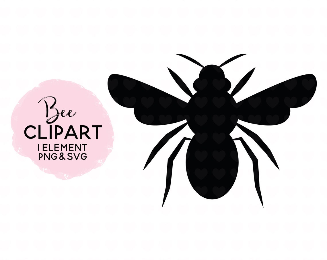 Bee Clipart Insect SVG File Realistic Bee PNG File Insect Clipart ...