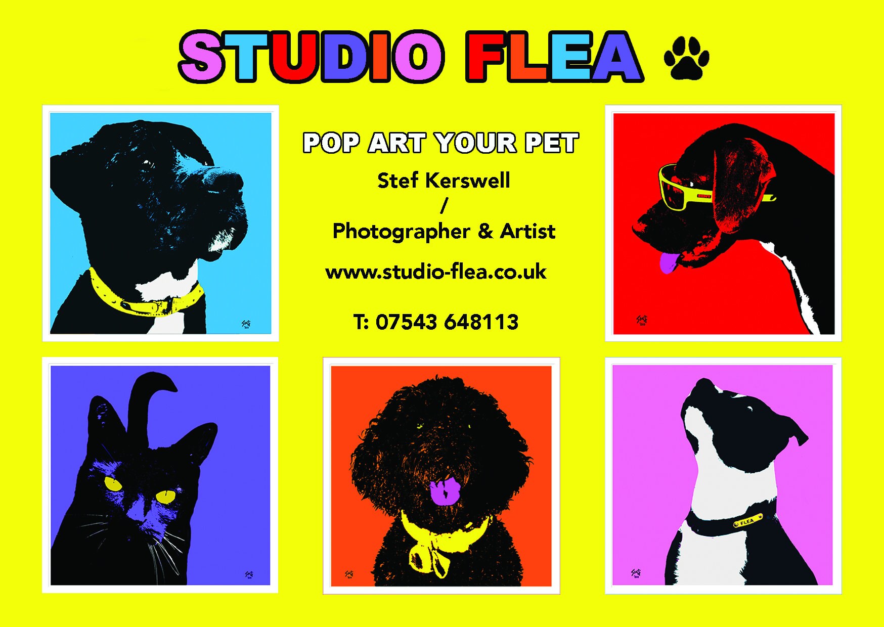 Cockapoo Art for Dog Lovers Abstract Wall Pop Art Poster Print - Etsy