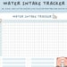 Water Intake Printable Template, Daily Water Tracker, Habit Tracker ...