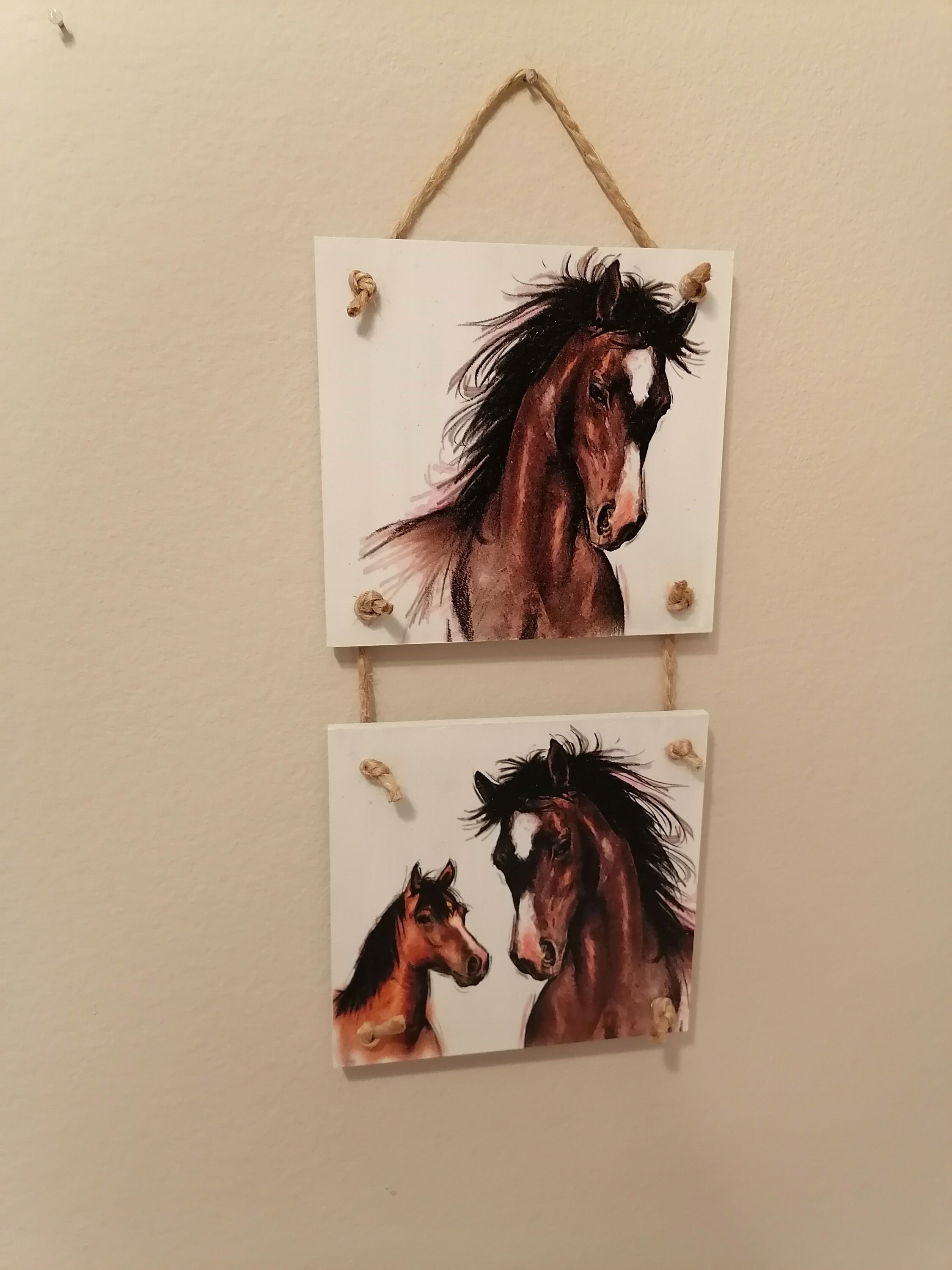 Horse Wall Decor Horses Decor Horse Lover Gift Horse Signs - Etsy
