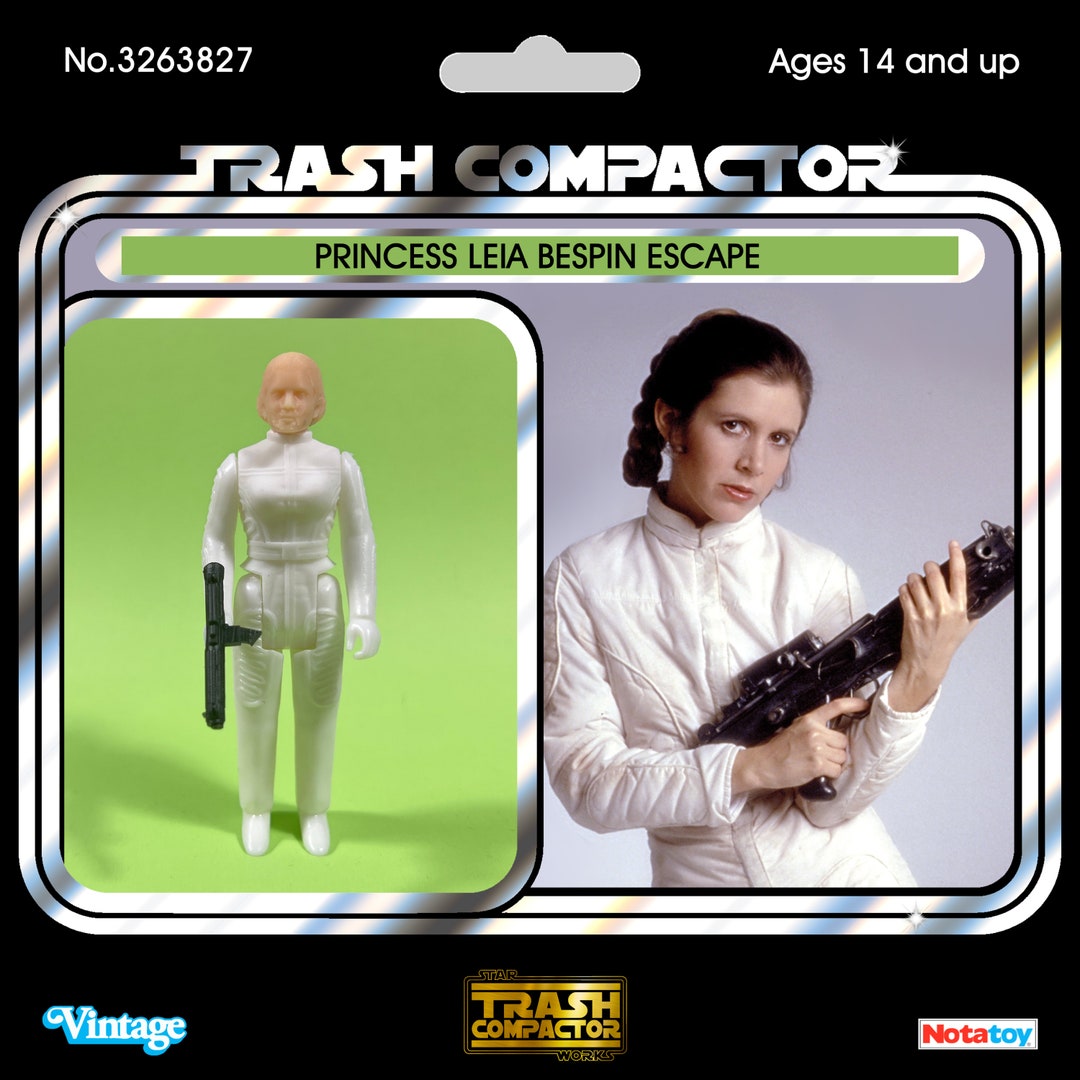 Princess Leia (bespin Escape) - 3D Printed Model Kit- Vintage-style ...
