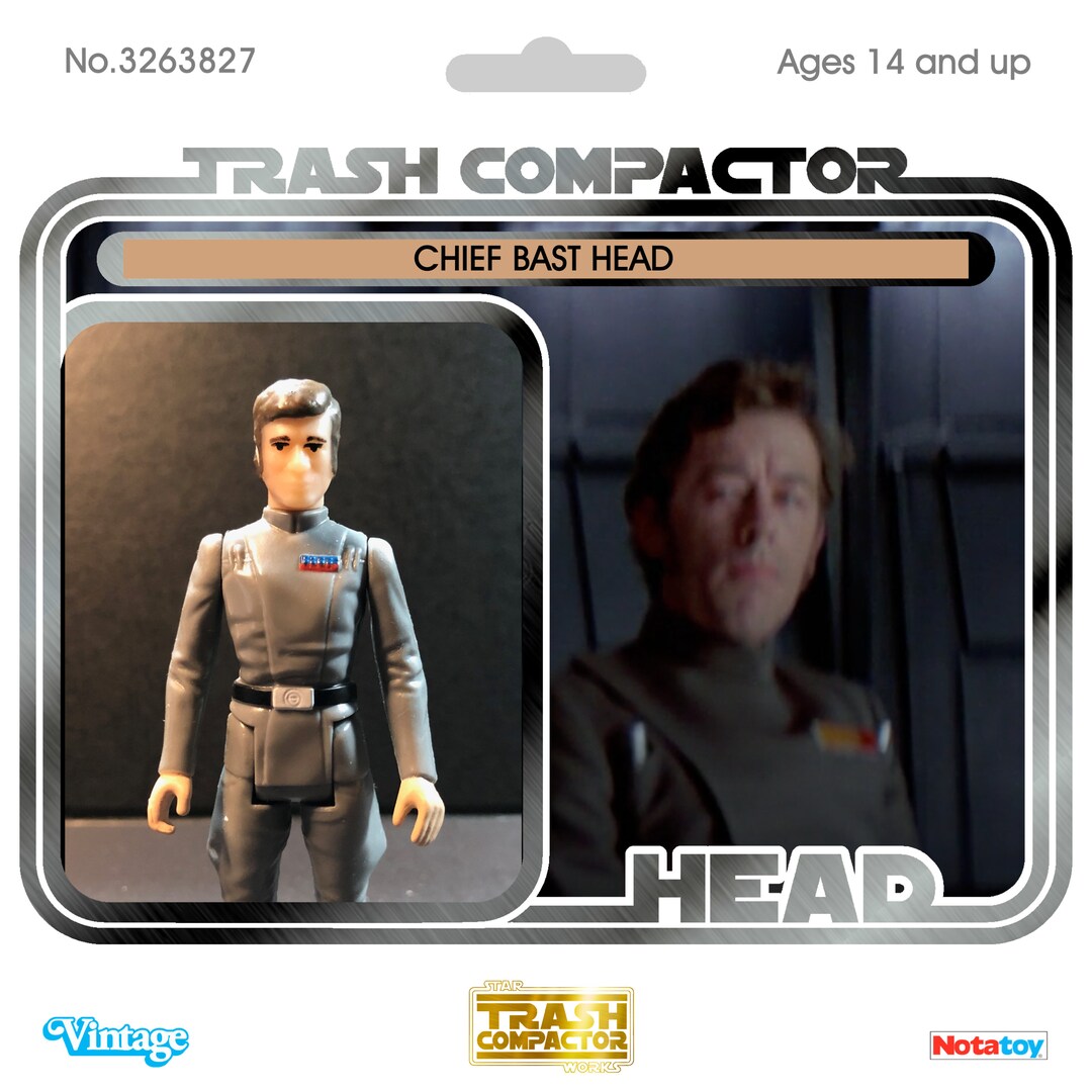 Chief Moradmin Bast Head- Vintage-style Star Wars Custom (3.75 Scale ...