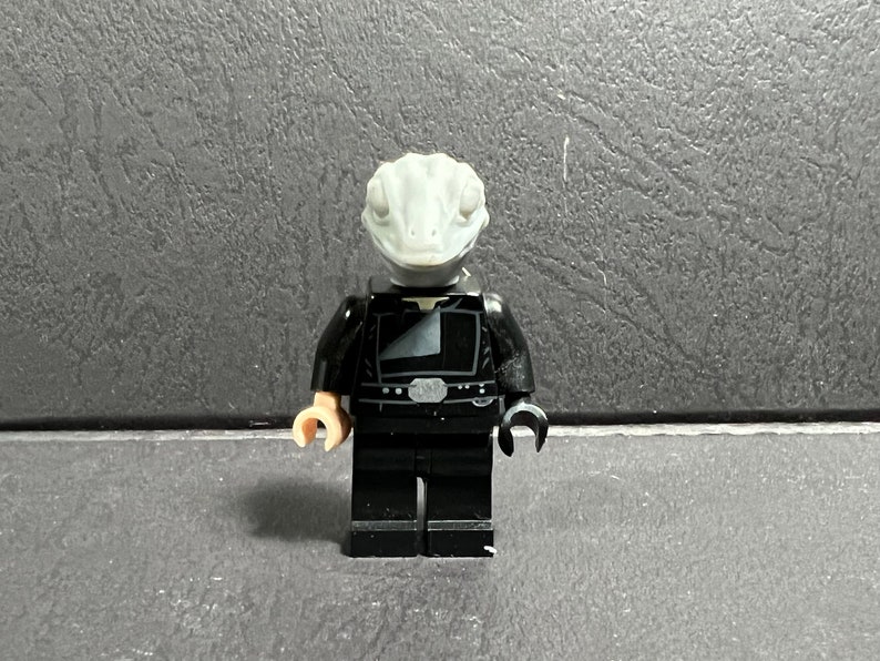 Frog Lady Head LEGO Fit 3D Printed - Etsy