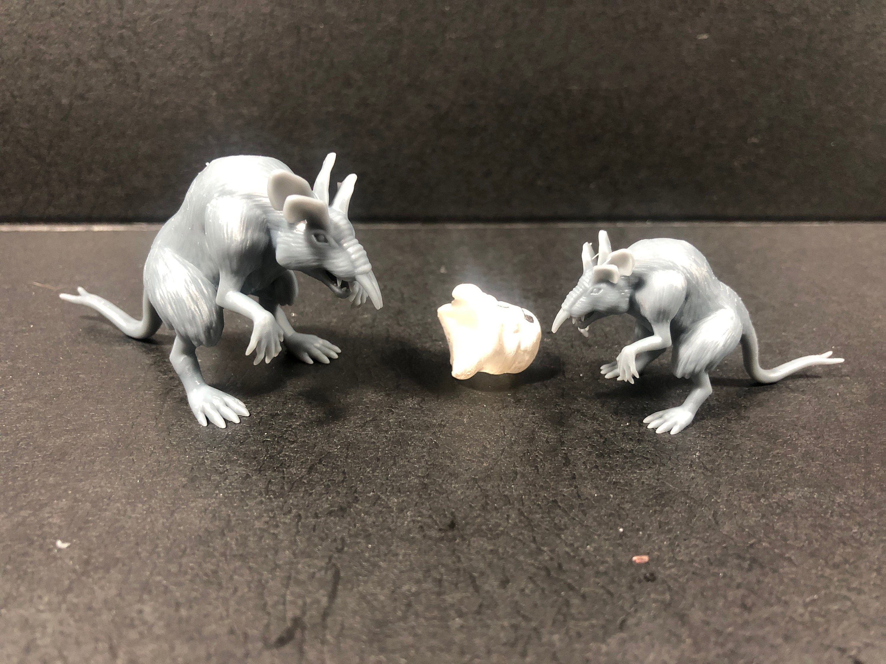 Womp Rat tres tamaños Kit de modelo impreso en 3D - Etsy México