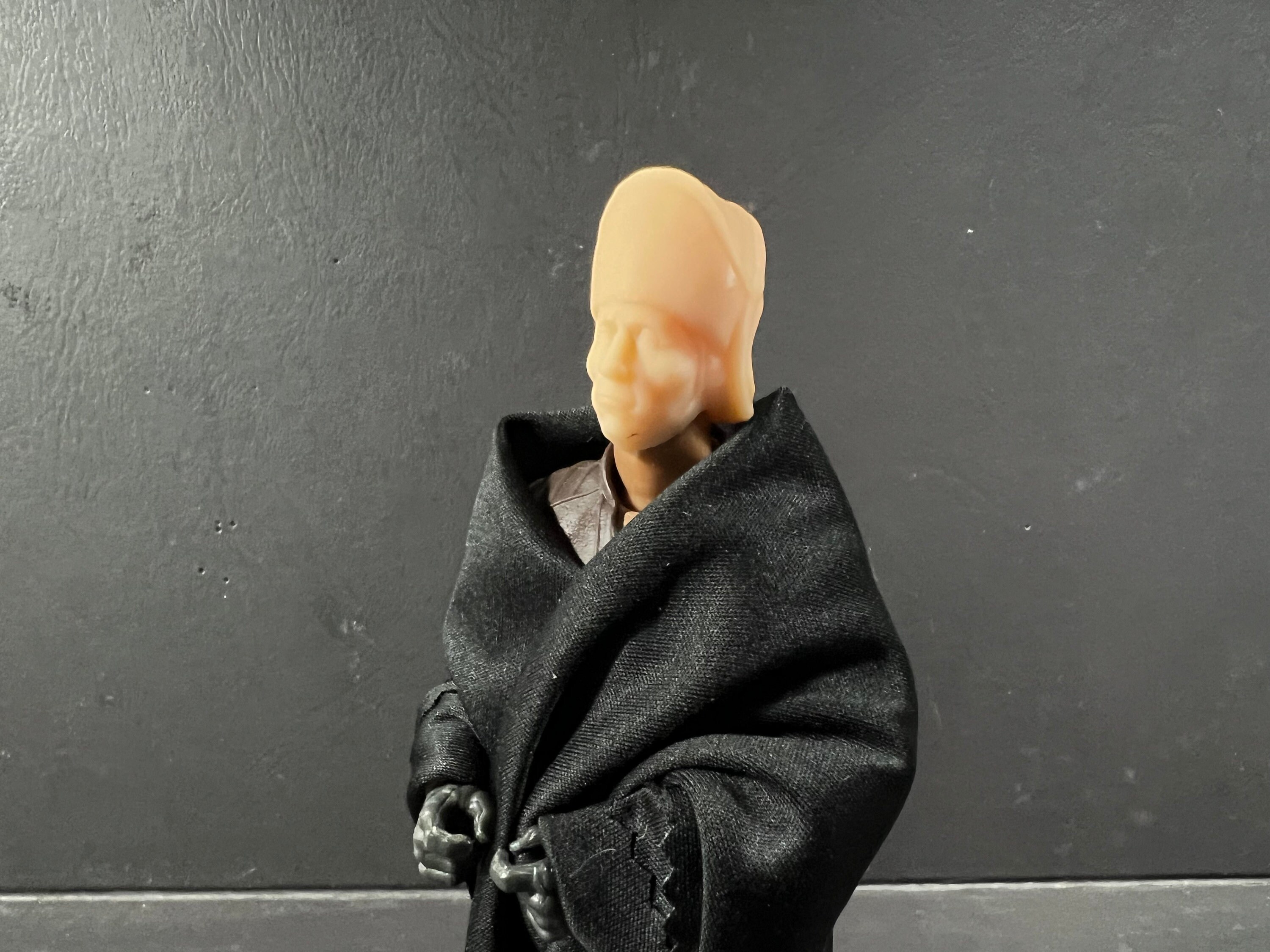 Sim Aloo - 3D Printed Head - 6 Inch Scale Star Wars Custom - Etsy