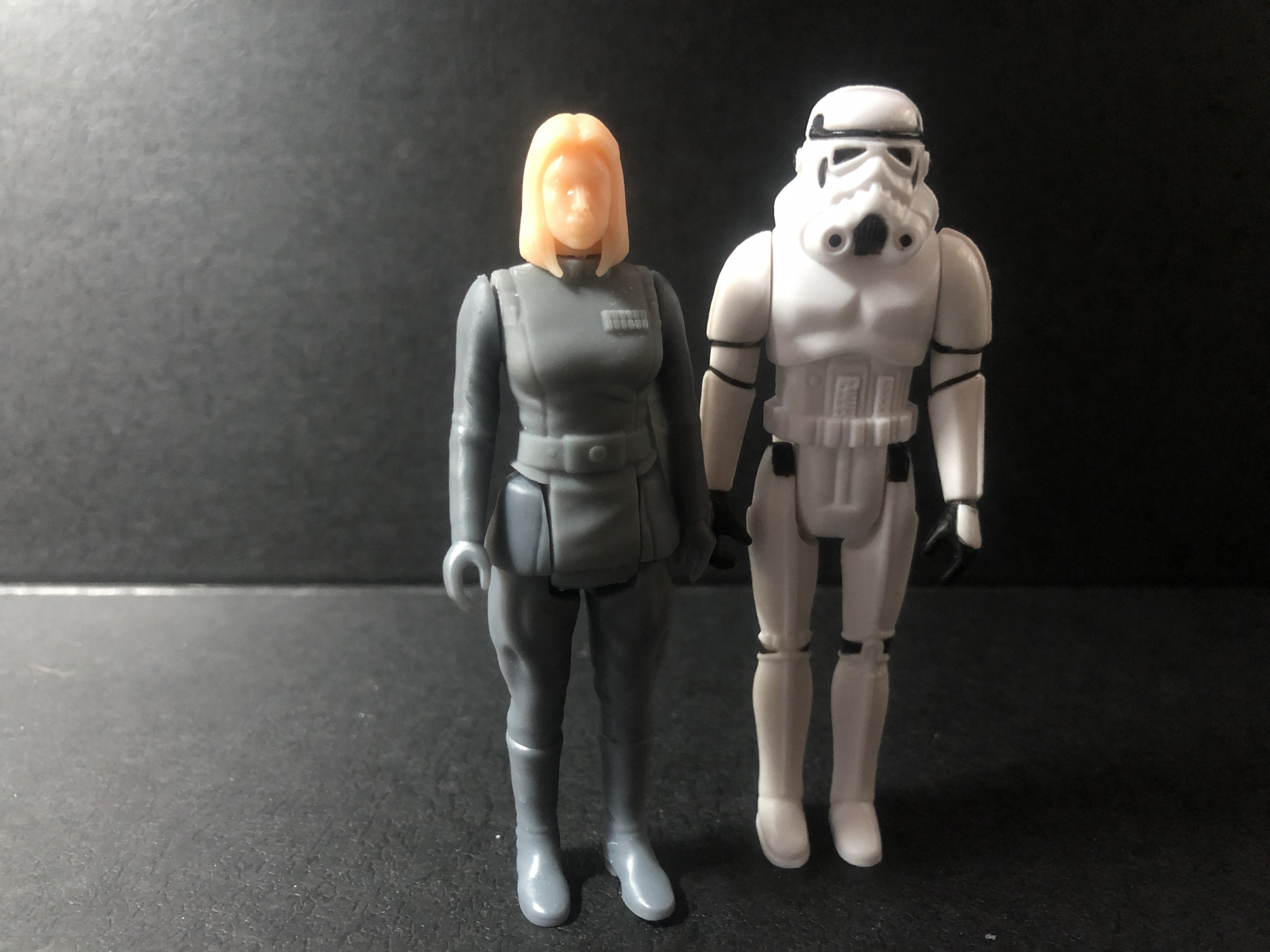 Director Ysanne Isard Head 3D Printed - Etsy
