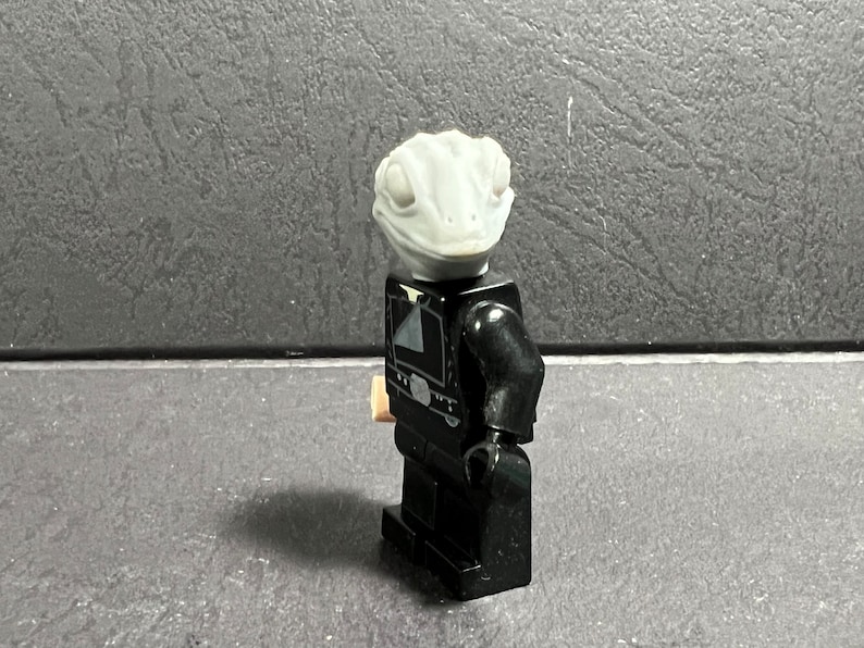 Frog Lady Head LEGO Fit 3D Printed - Etsy