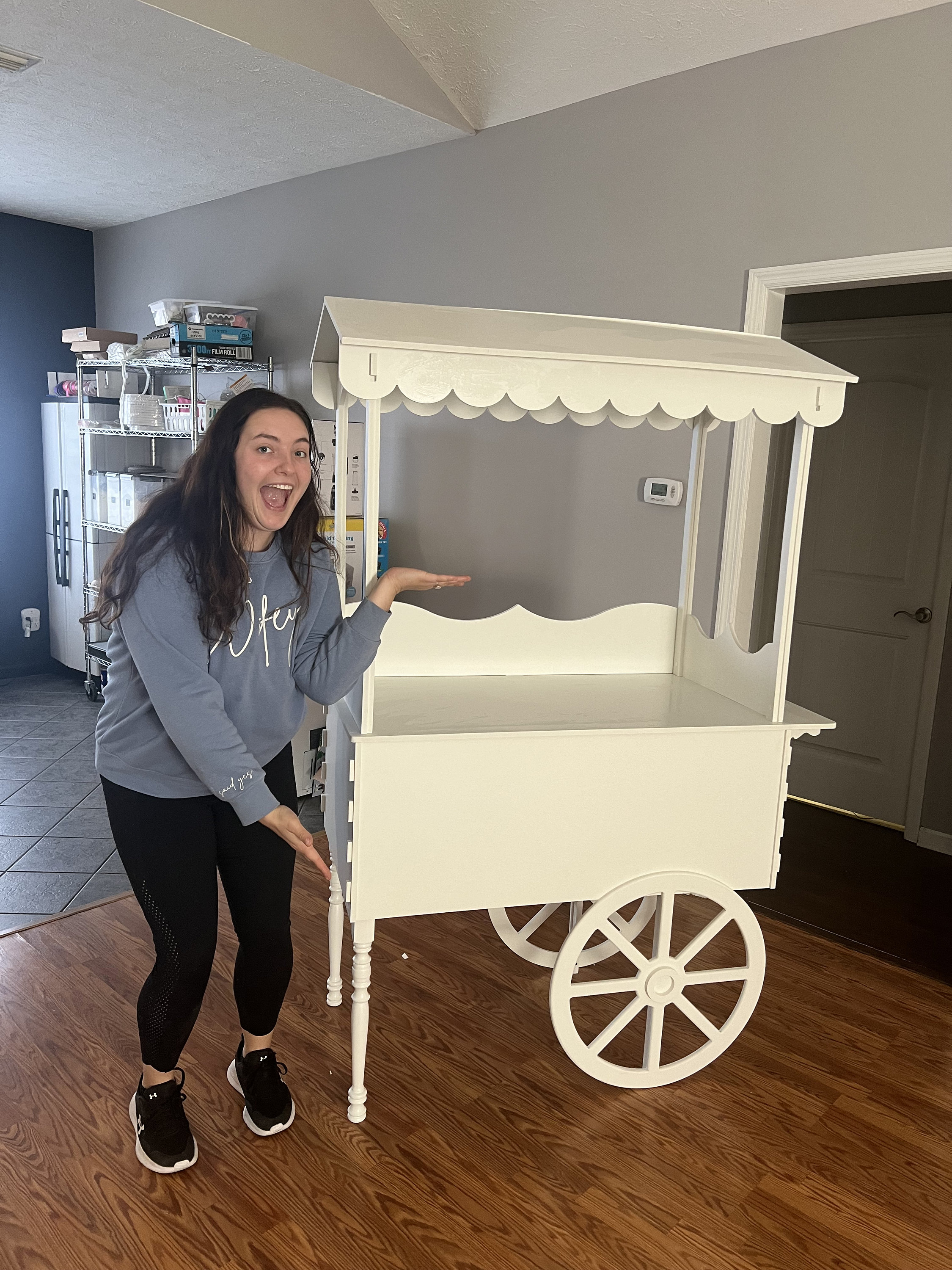RENT Our Party Cart in the Panama City Beach 30A Area Candy Cart ...
