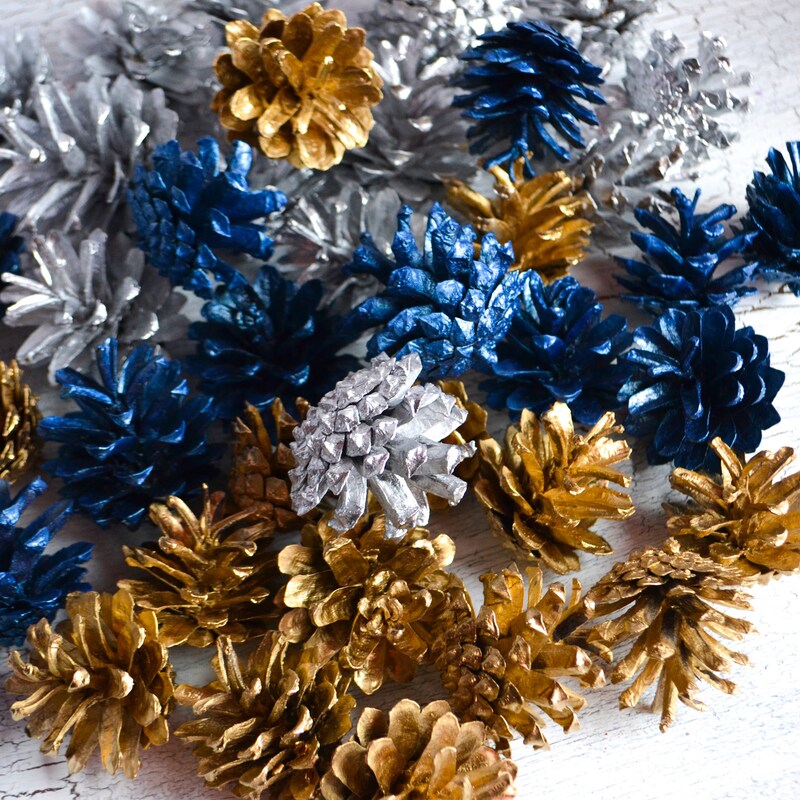 Natural Pine Cones - Etsy