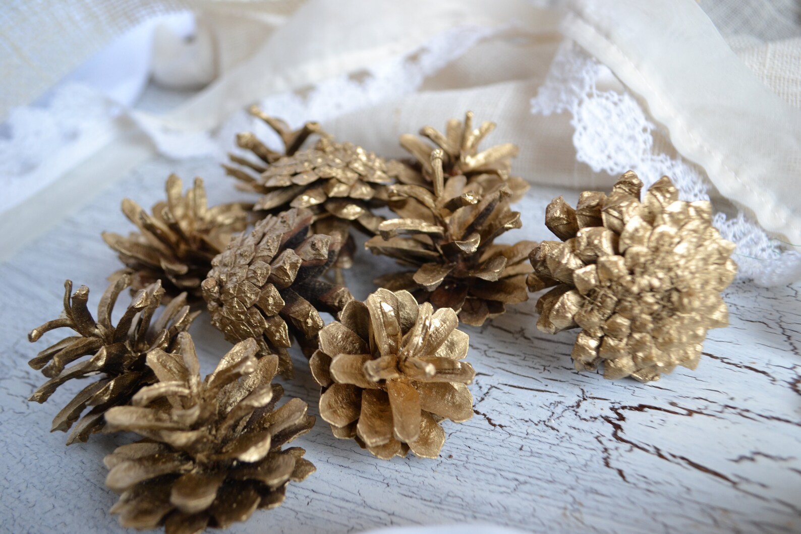 Set of 16 Golden Pine Cones 2-3 Inch 100% Organic Natural Handpicked ...