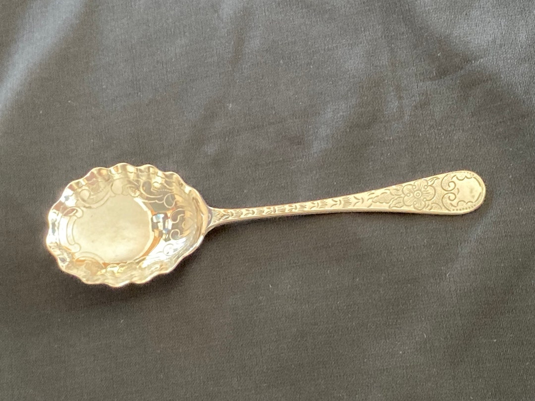 Vintage RODD Jasmine EPNS Silver Plate Serving Spoon - Etsy