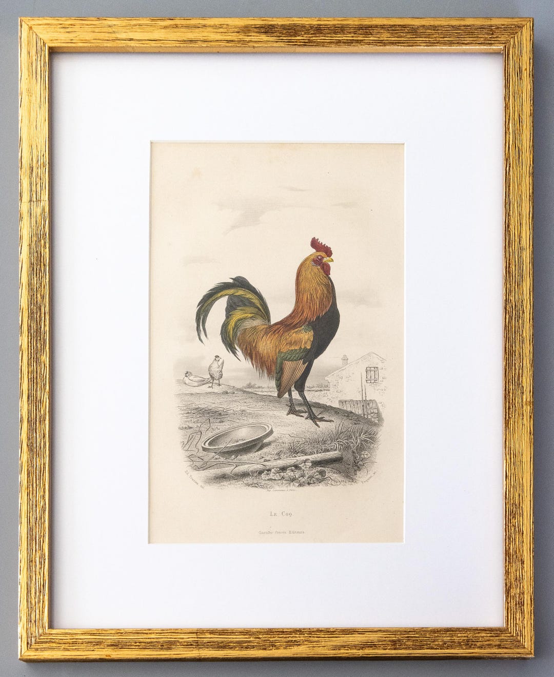Custom Framed Antique Rooster Engraving - Etsy