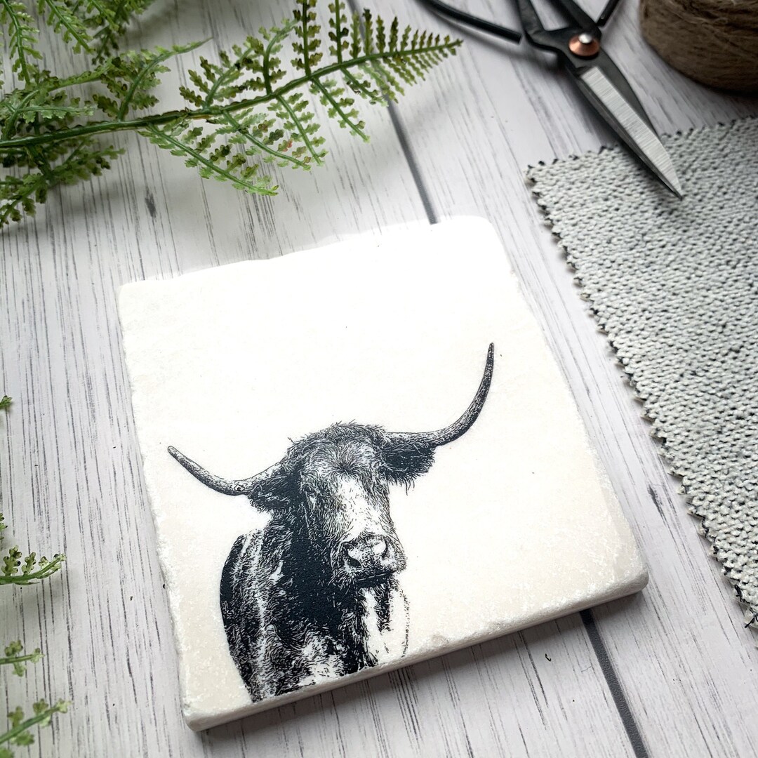 English Longhorn Cow Natural Stone Coaster - Etsy