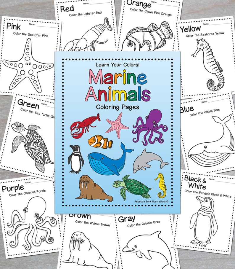 Learning Colors: Marine Animals Coloring Pages - Etsy