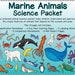 Marine Animals Science Packet - Etsy