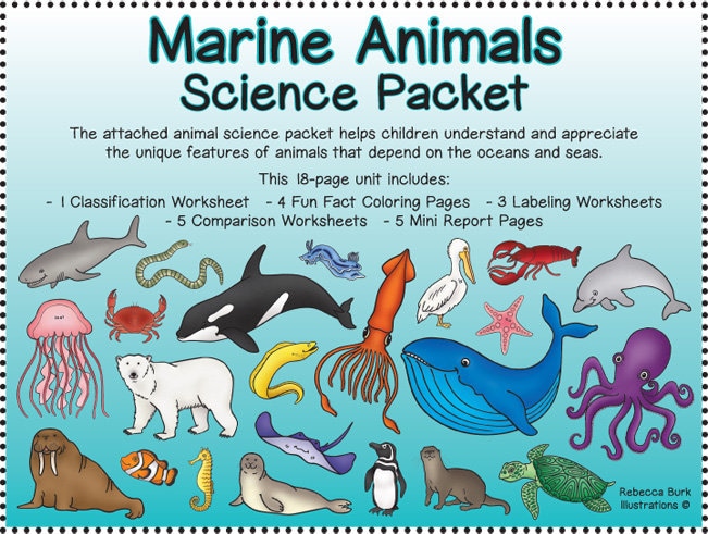 Marine Science Worksheets