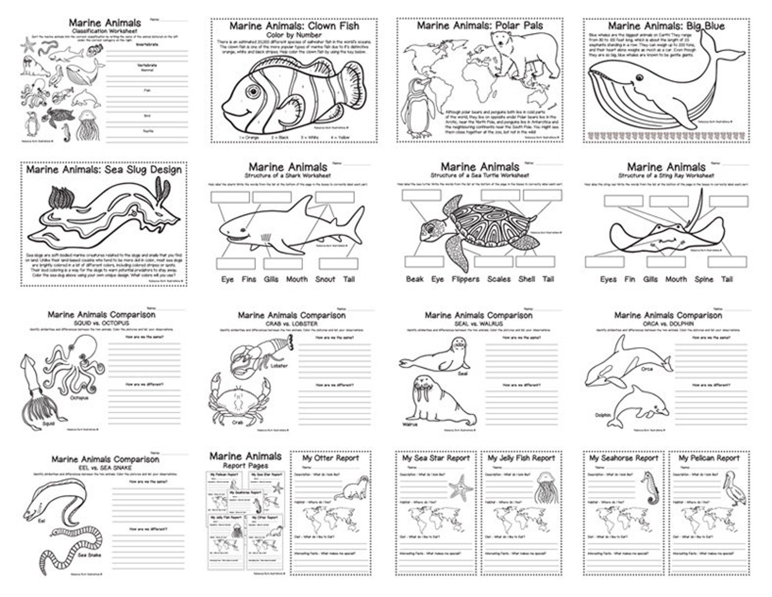 Marine Animals Science Packet - Etsy