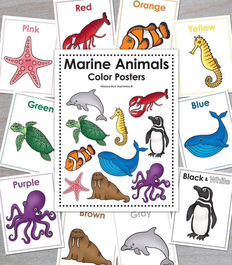 Learning Colors: Classroom Posters - Marine Animals - Etsy