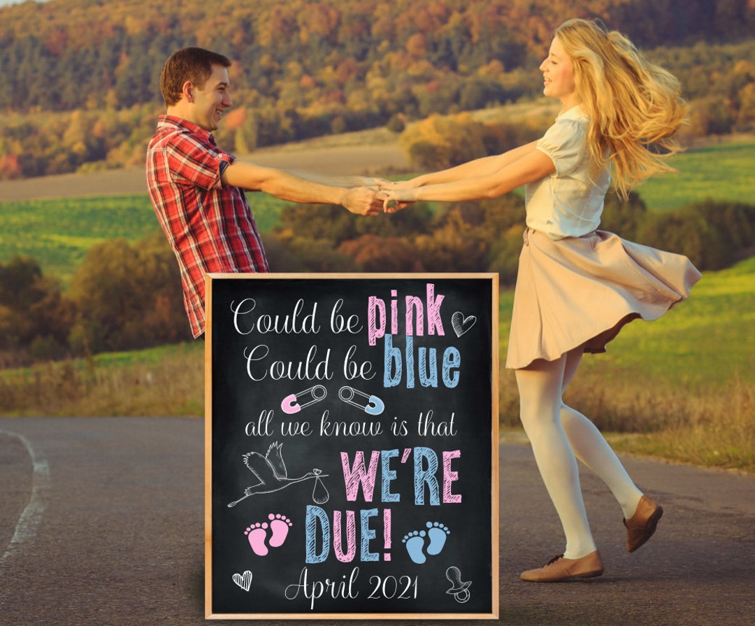 Printable Could Be Pink Could Be Blue Printable Pregnancy - Etsy