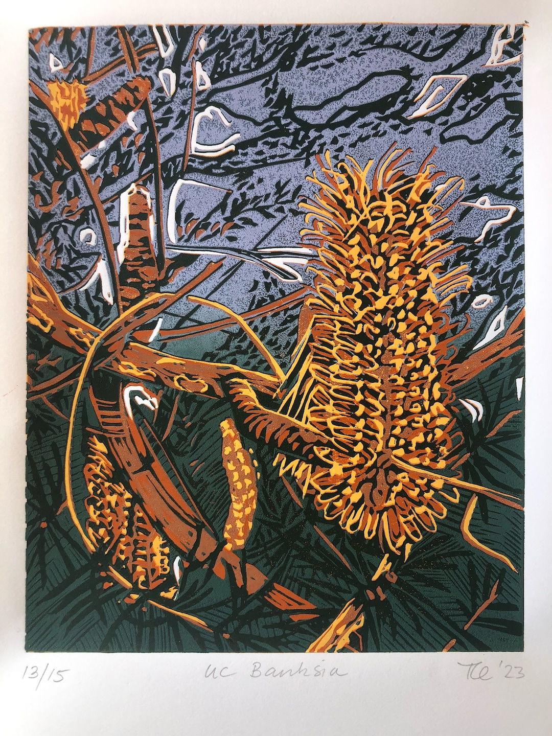 Colour Lino Cut - Etsy