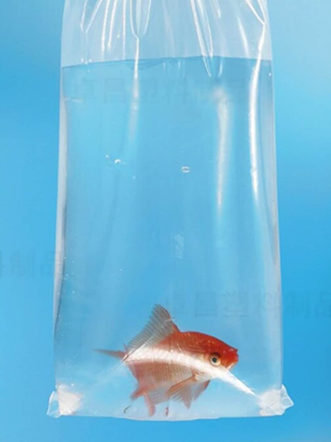 50 Fish Shipping Bags 6 X 16 2 MIL Double Sealed Bottoms Poly Bags Fast ...