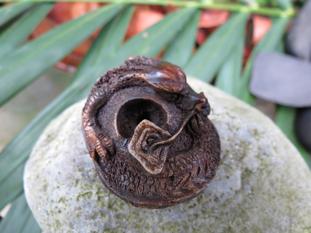 Japanese 20th Century Manju Dragon Netsuke - Carved Nut Curled Dragon ...