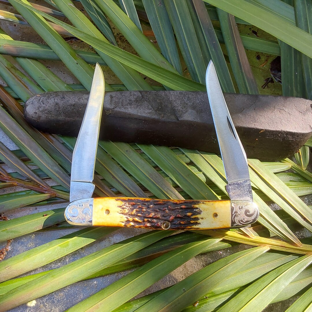 Case XX 2 Blade Muskrat Pocket Knife Fabulous Stag Handles Engraved ...