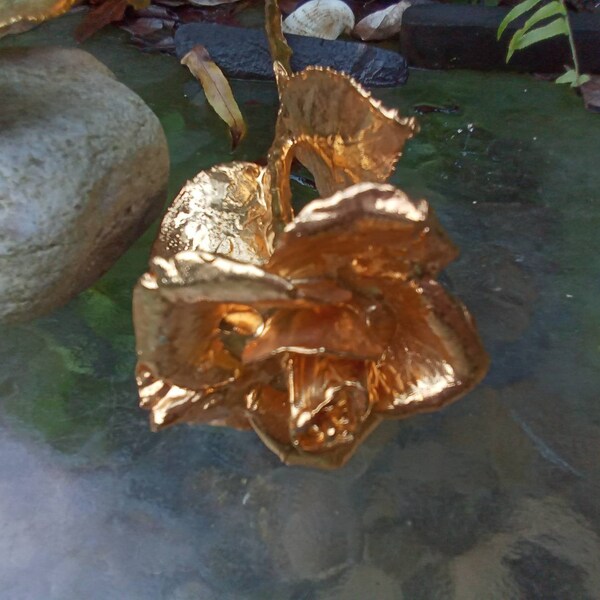 Long Stem Rose - Etsy