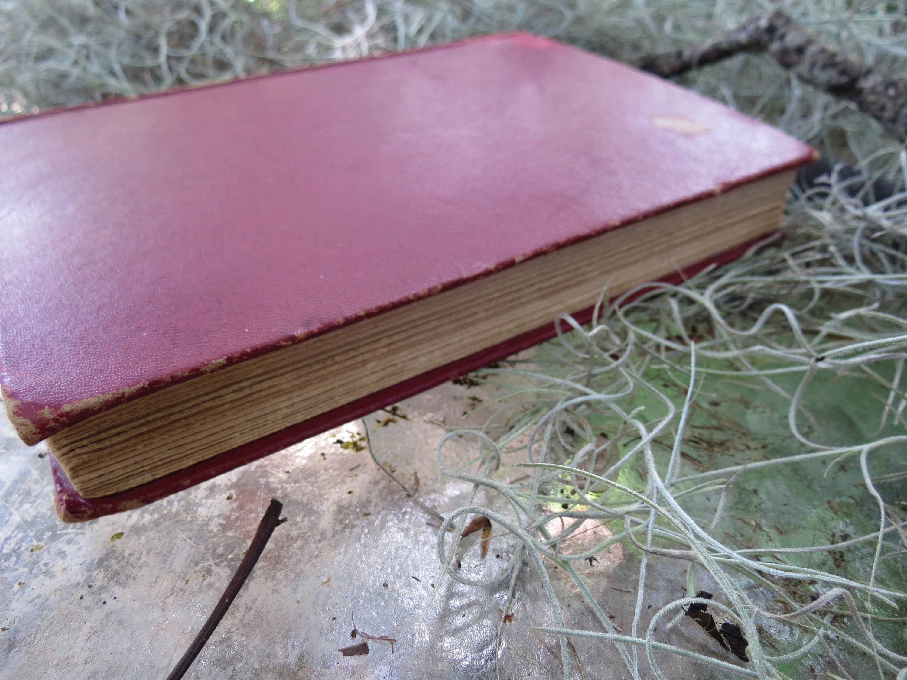 Flint by Charles G. Norris Antique Hardcover Book 1944 | Etsy