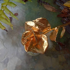 Gold Long Stem Rose - Genuine Rose Flower Dipped & Preserved in 24K ...