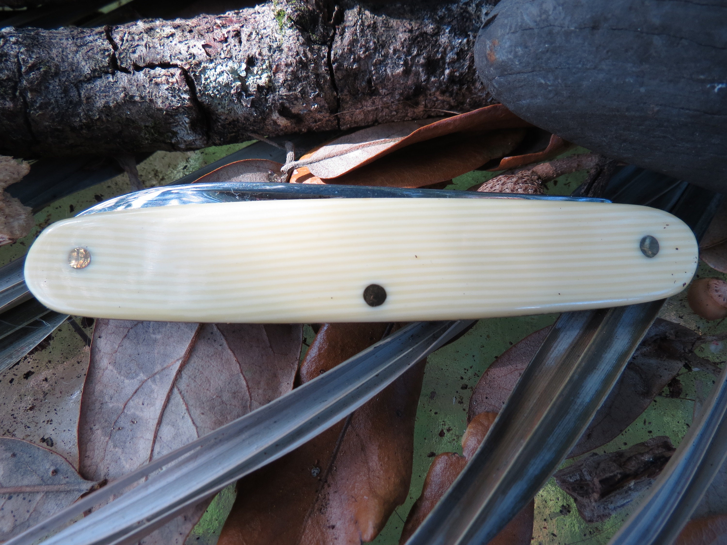 Celluloid Handle Pocket Knife German Folding Knife Coca | Etsy