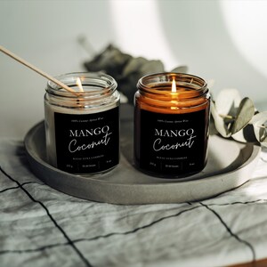 Mango Coconut Candle: Tropical Home Fragrance, Coconut Apricot Wax - Etsy