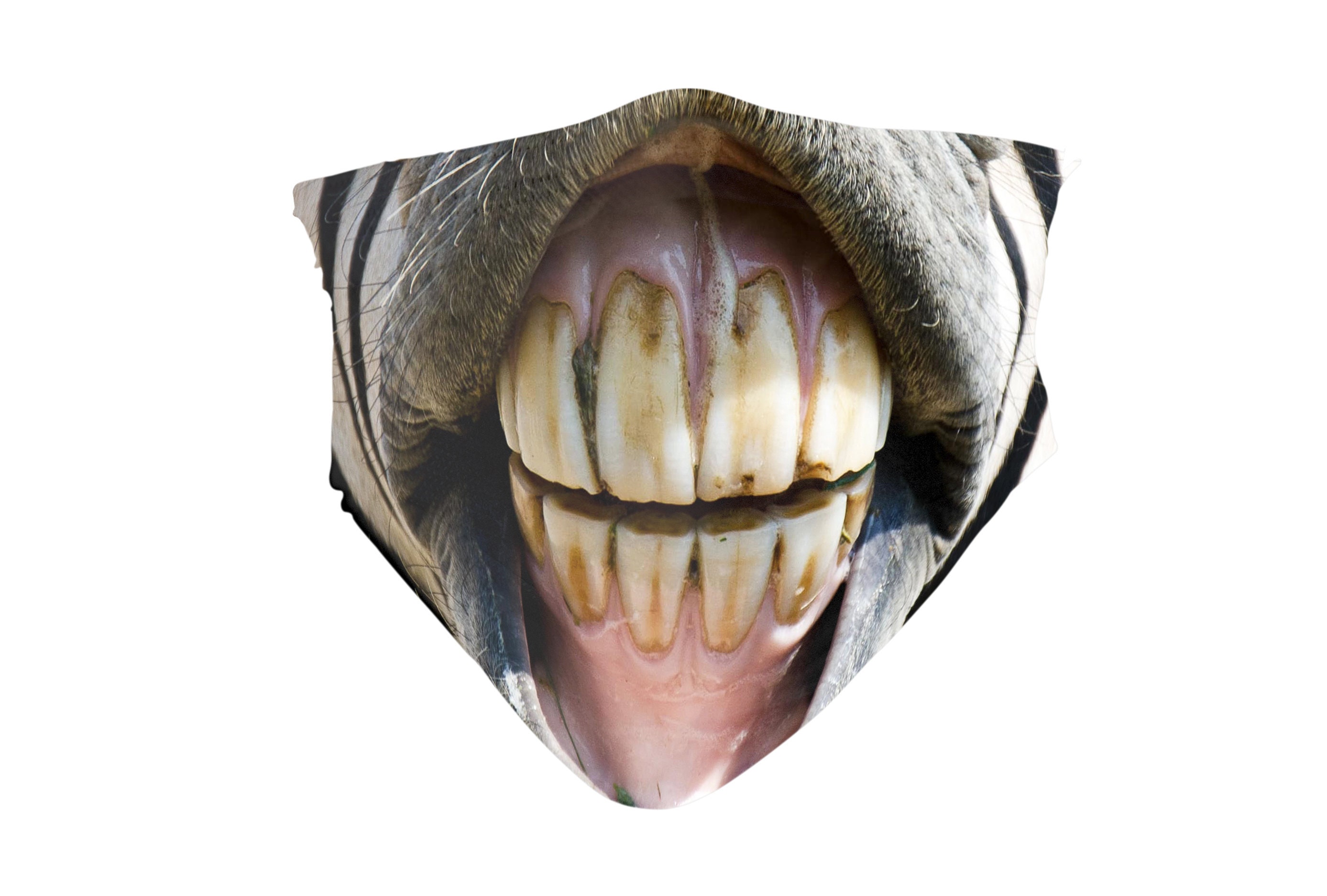 Funny Zebra Face Mask, Funny Meme Face Mask, Zebra Teeth Face Mask ...