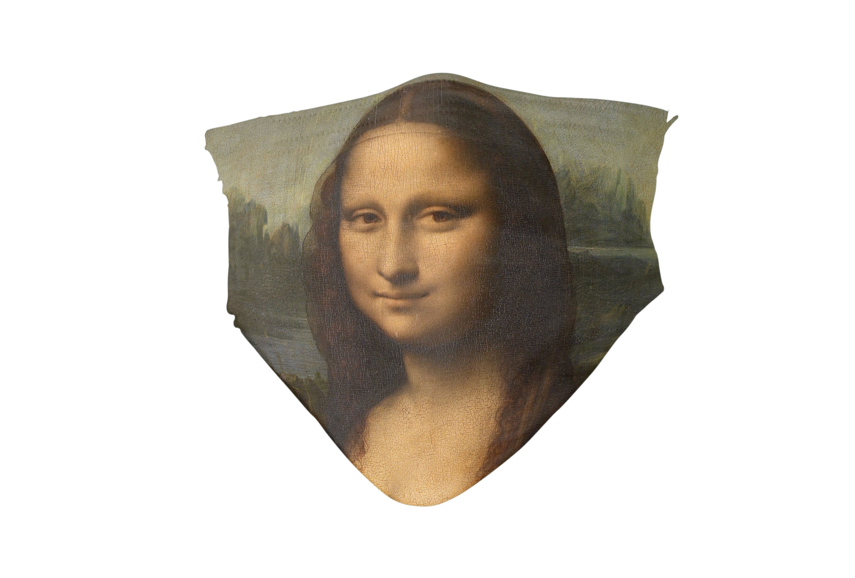 Mona Lisa Face Mask, Leonardo Da Vinci, Funny Face Mask, Washable Face ...