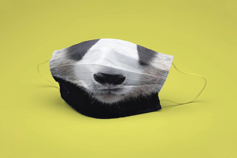 Panda Nose Face Mask Funny Panda Face Mask Washable Face - Etsy