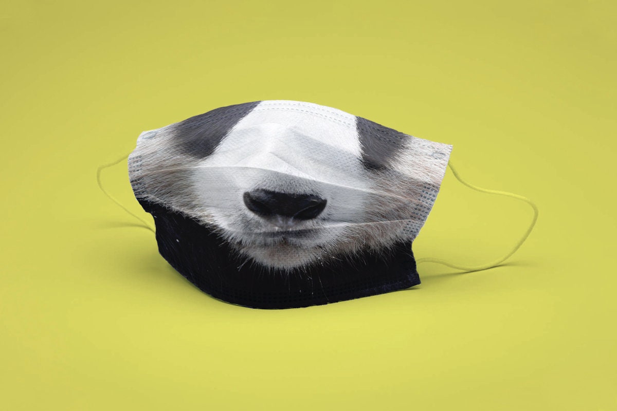 Panda Nose Face Mask, Funny Panda Face Mask, Washable Face Mask ...